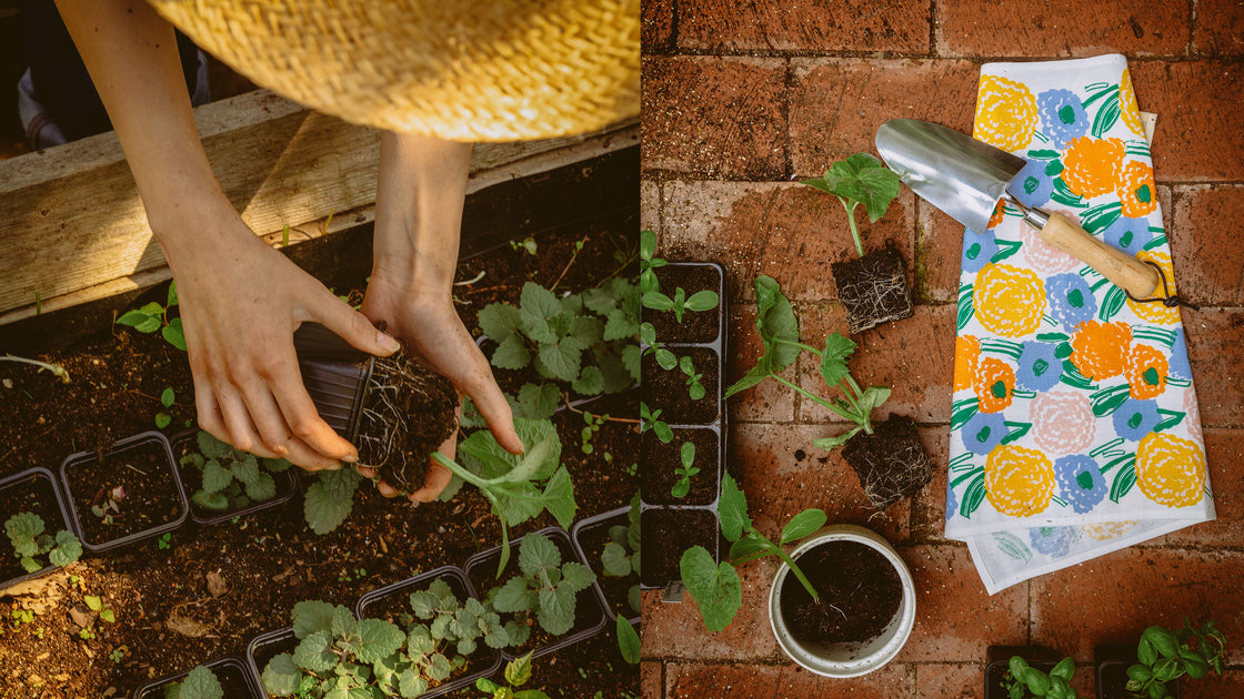 Kukkapenkki – PENTIK